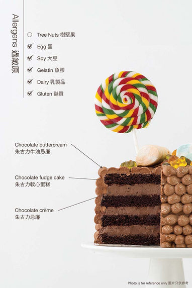 Choco Wonderland – DALLOYAU HK